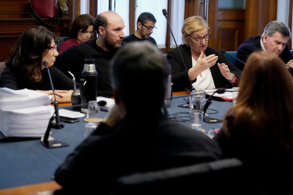 Maru Vidal presentó los ejes estratégicos de Cultura en el Senado | Ministerio de Educación y ...